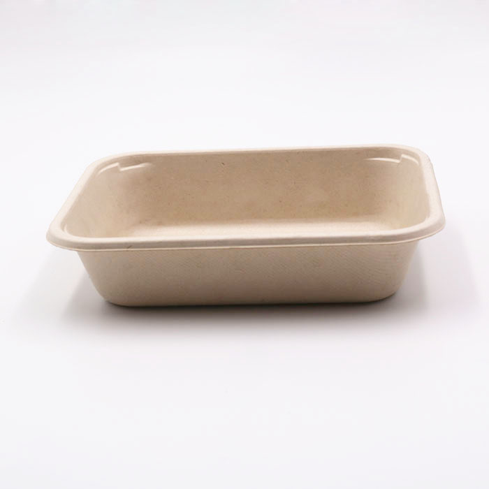 Biodegradable Bagasse Food Container